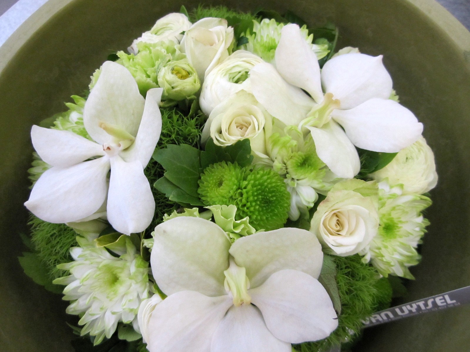 Bloemen | Tuincentrum Van Uytsel