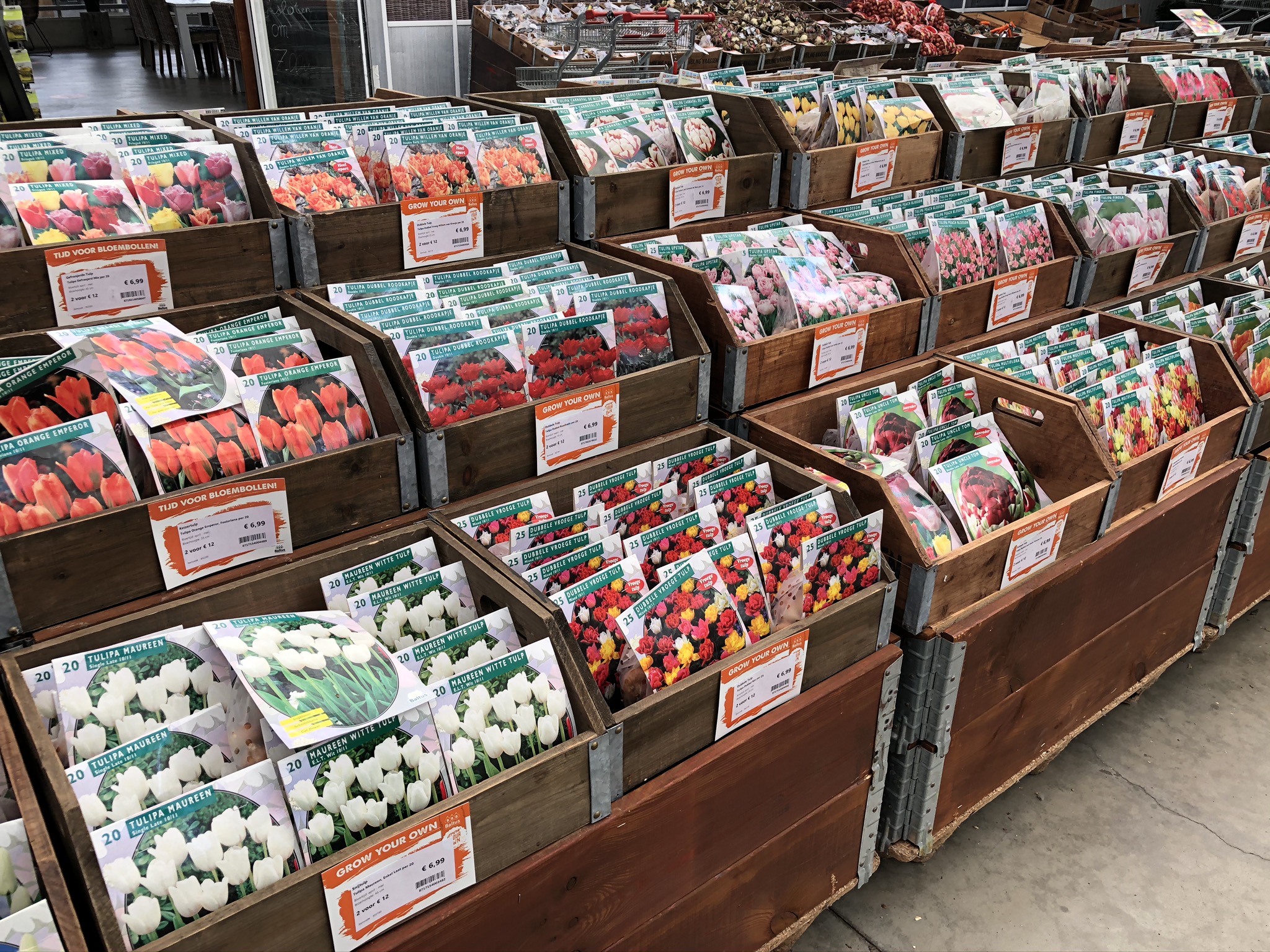 Tuinplanten | Tuincentrum Van Uytsel