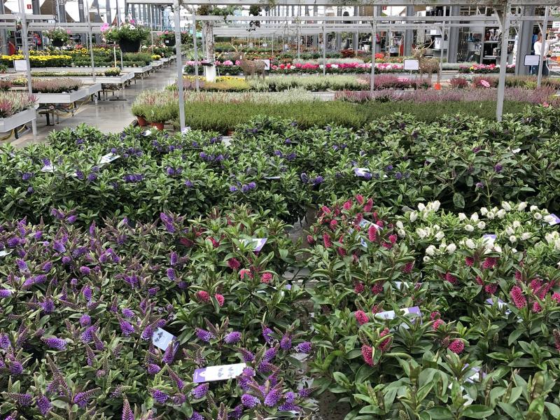 Van Uytsel | Tuincentrum Van Uytsel