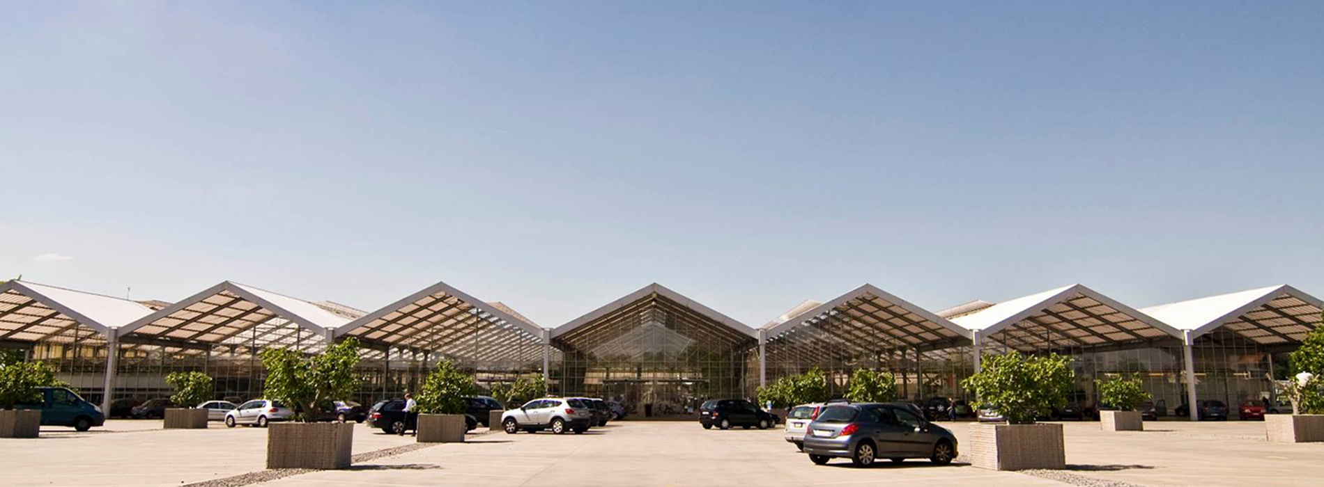 Home | Tuincentrum Van Uytsel